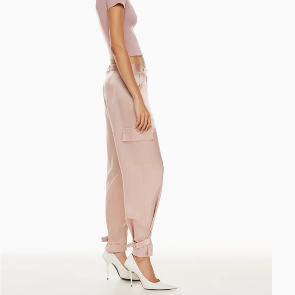 Babaton | Pants & Jumpsuits | Aritzia Nwot Babaton Refined Cargo Pants ...